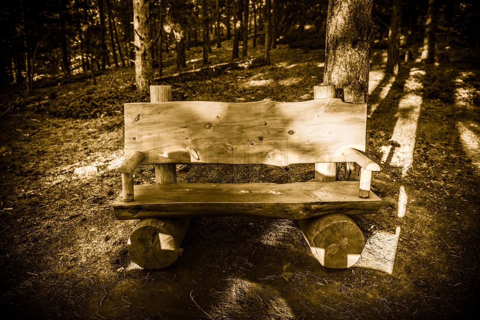 Forest Trail Bench | Stock image | Colourbox