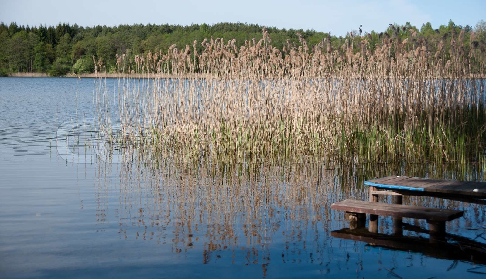Lithuania lake | Stock image | Colourbox