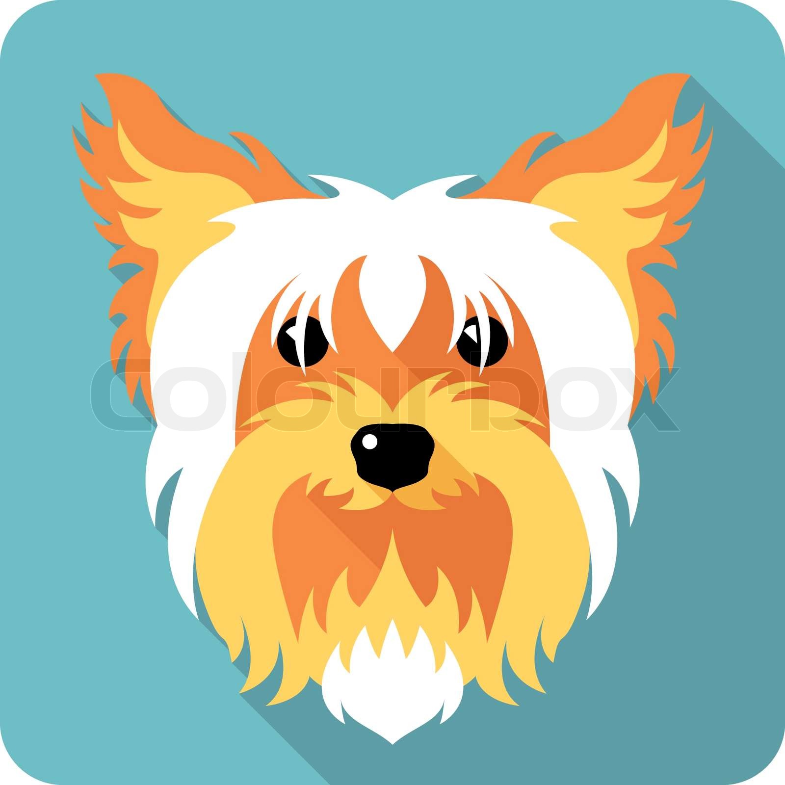 dog Yorkshire terrier icon flat design | Stock vector | Colourbox