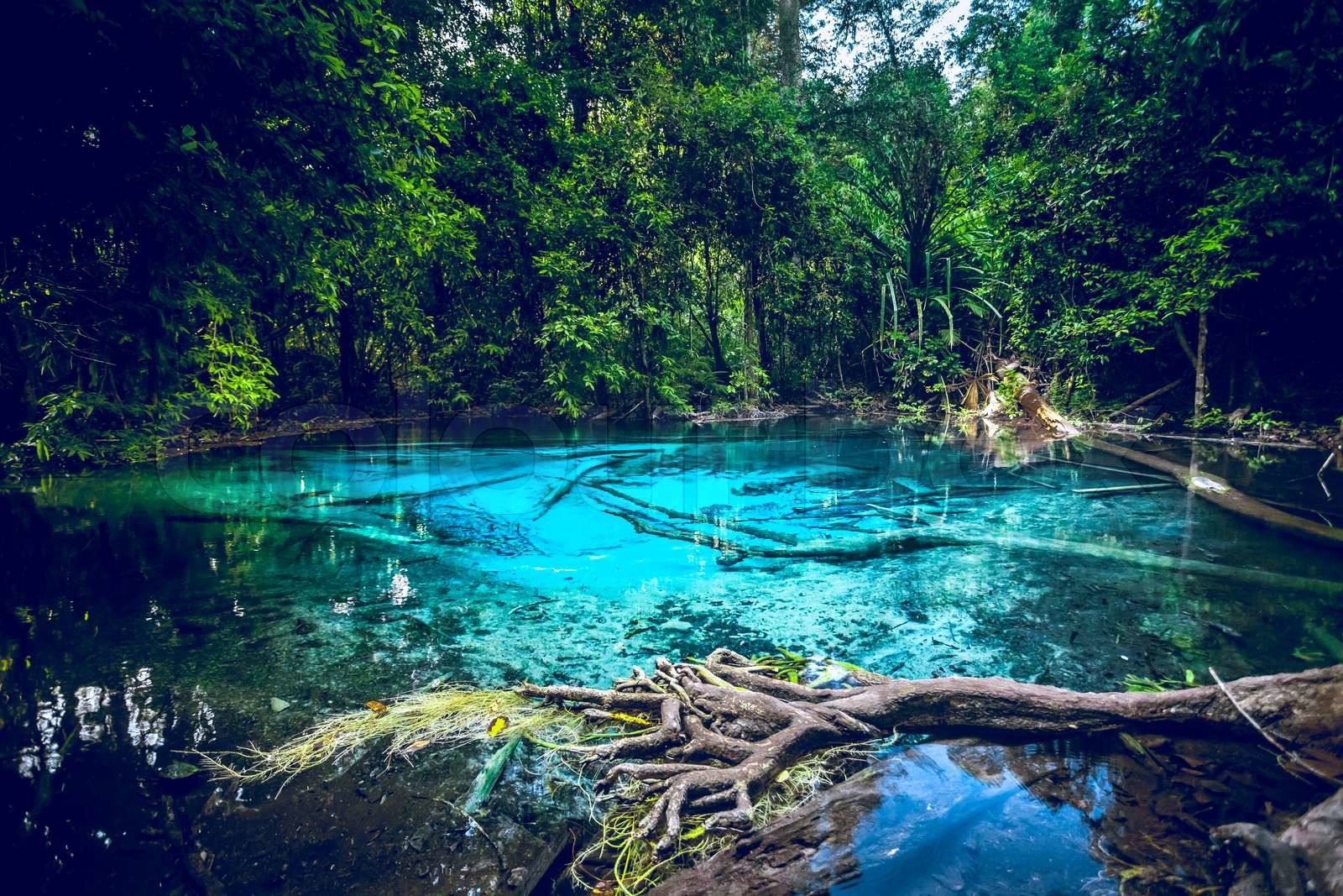 Emerald blue Pool | Stock image | Colourbox