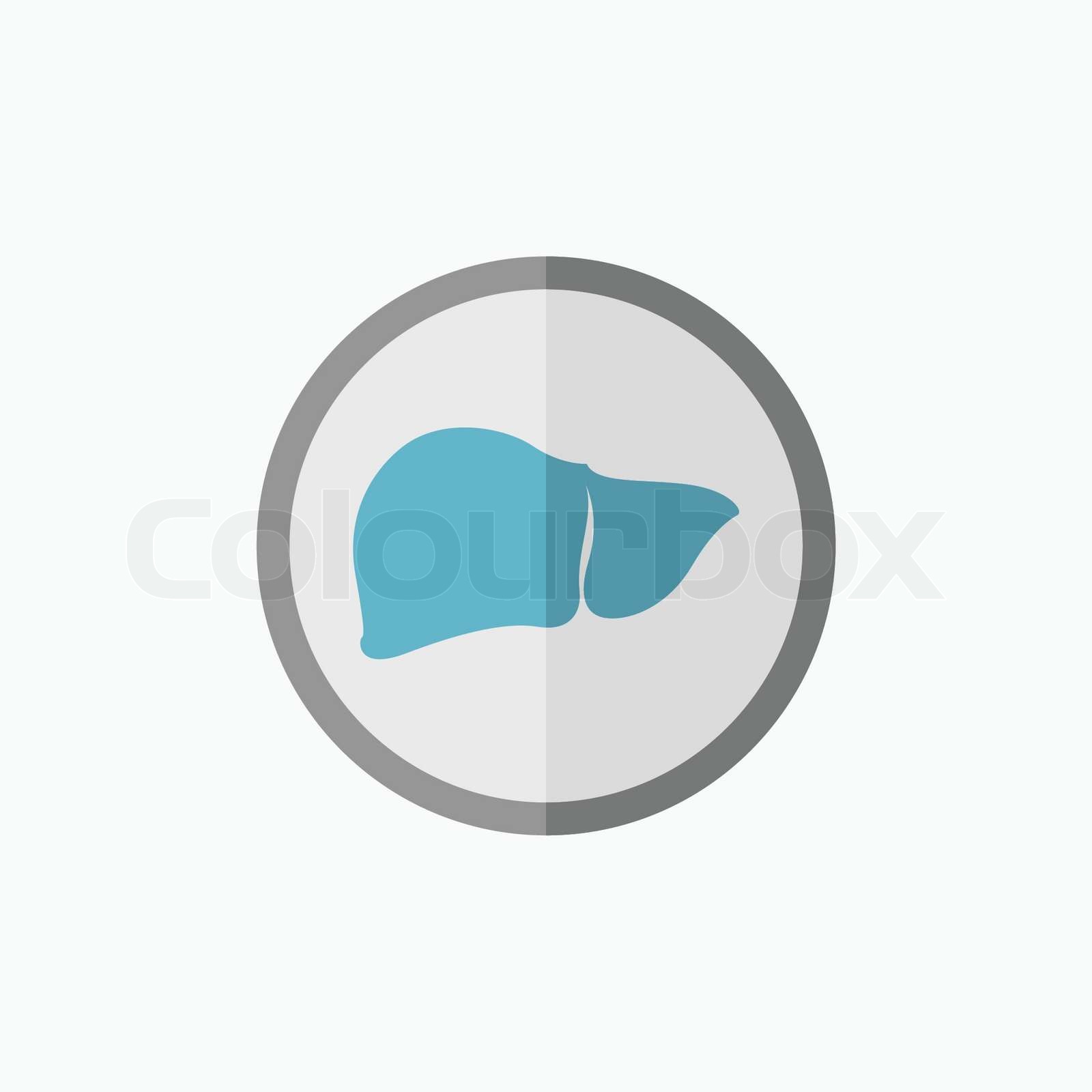 Liver Flat Icon | Stock vector | Colourbox