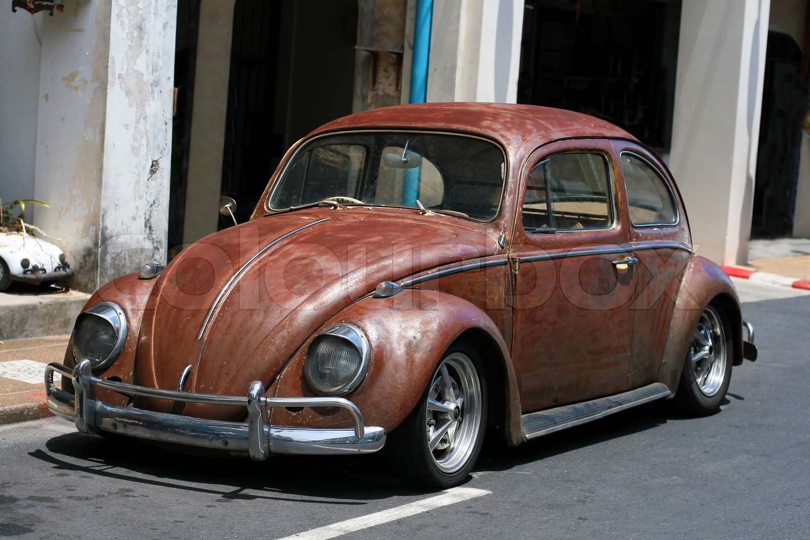 Rat style beetle | Stock image | Colourbox