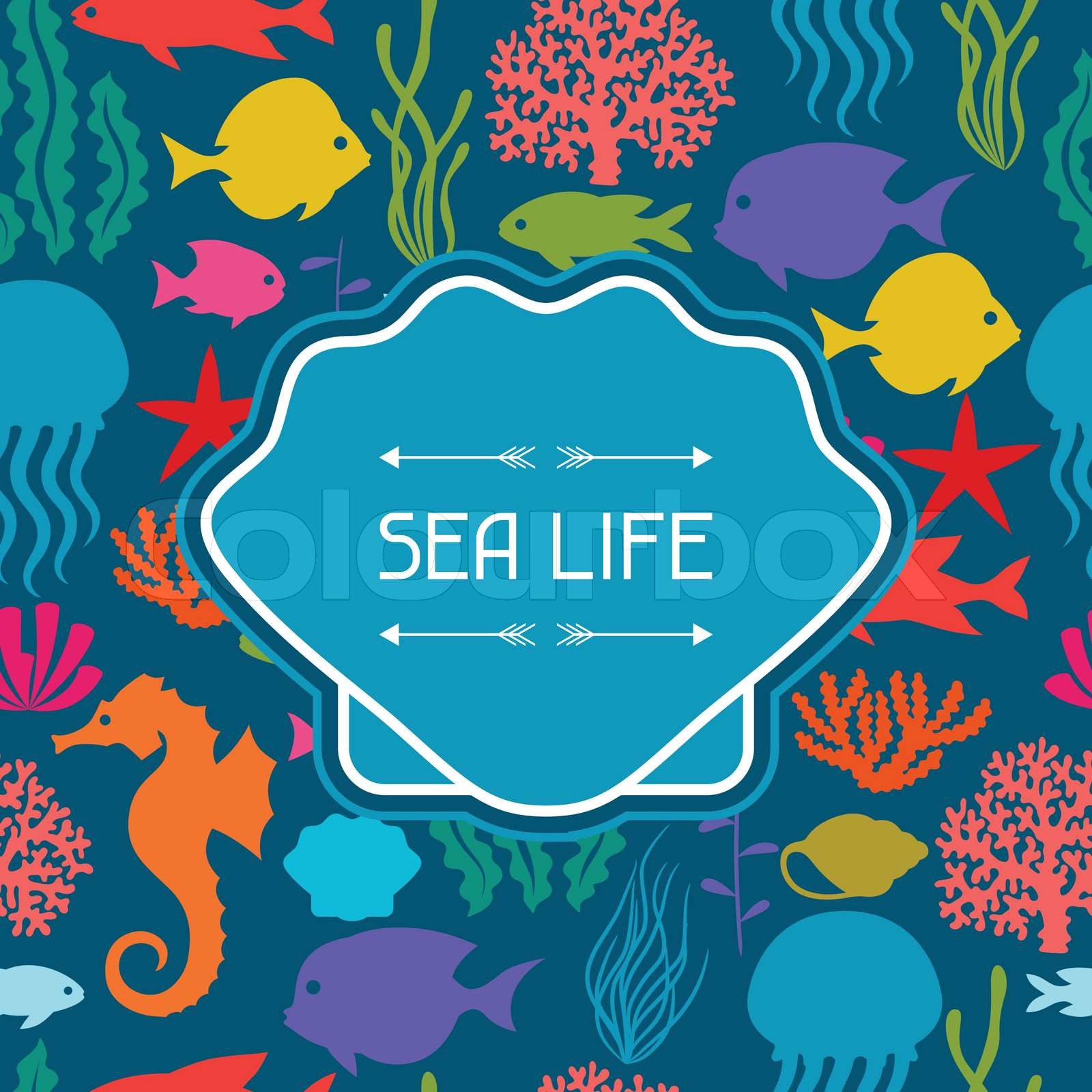 Marine Life Wallpaper