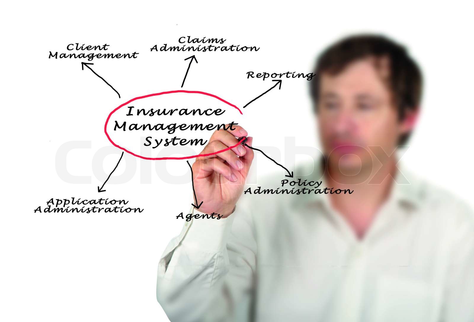 Insurance Management System | Stock image | Colourbox