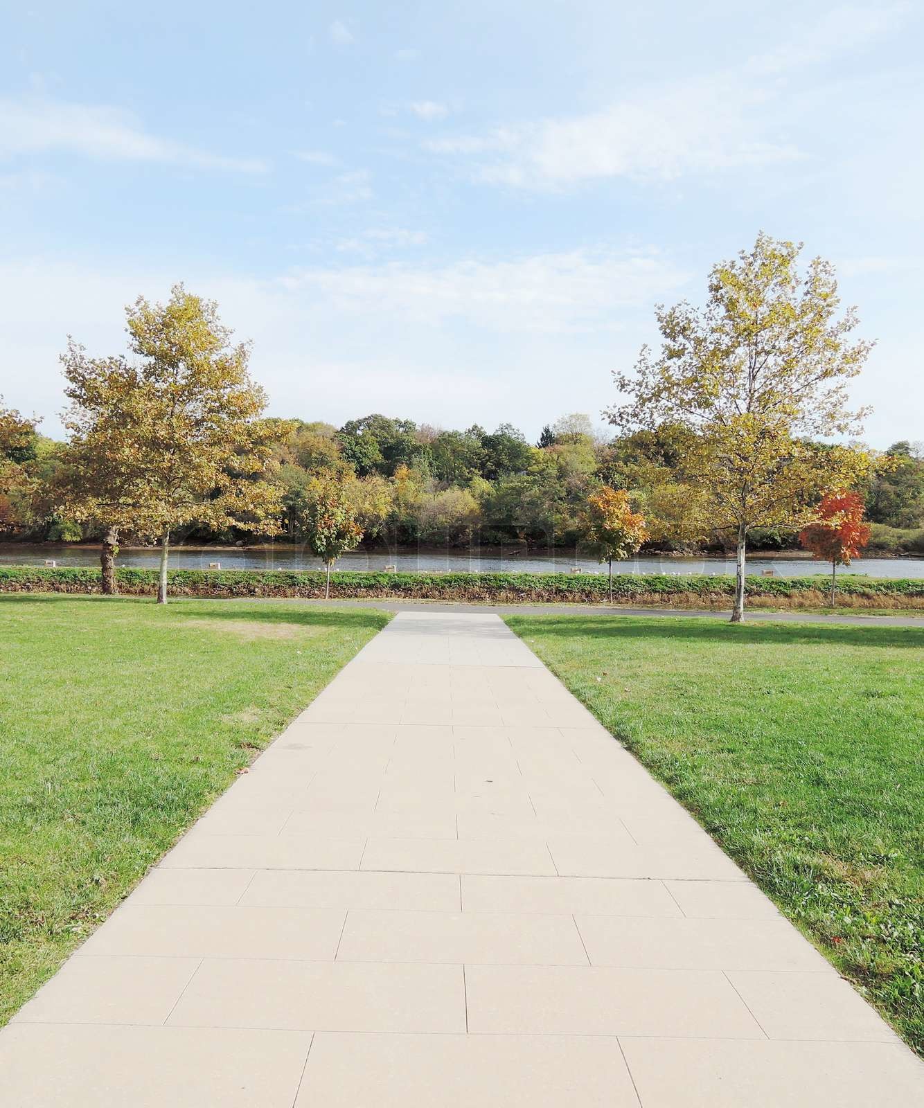 pathway | Stock image | Colourbox