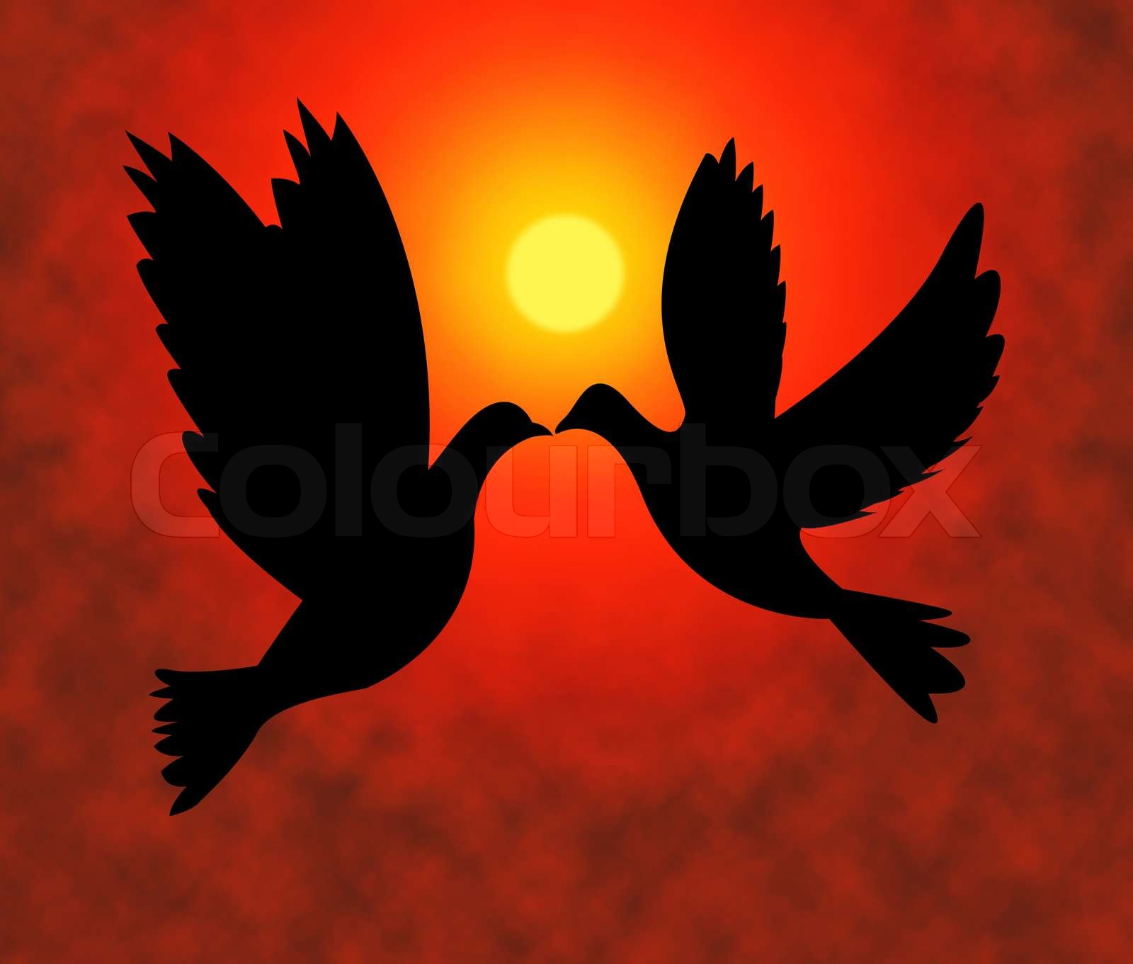 Peace Doves Represents Flock Of Birds And Pacifist | Stock image ...