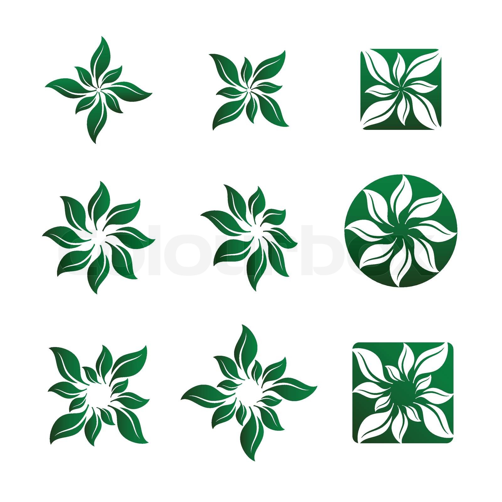 Leaf and Flower Vector Illustrations | Stock vector | Colourbox