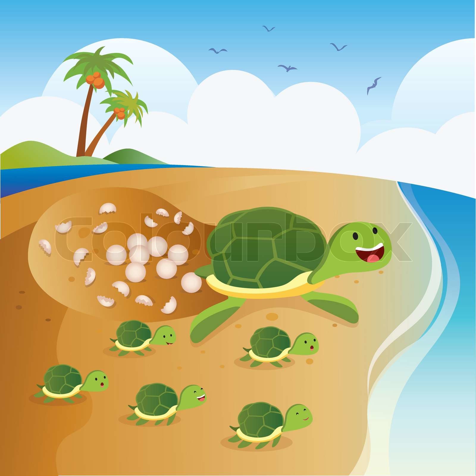 Sea turtle lay eggs | Stock vector | Colourbox
