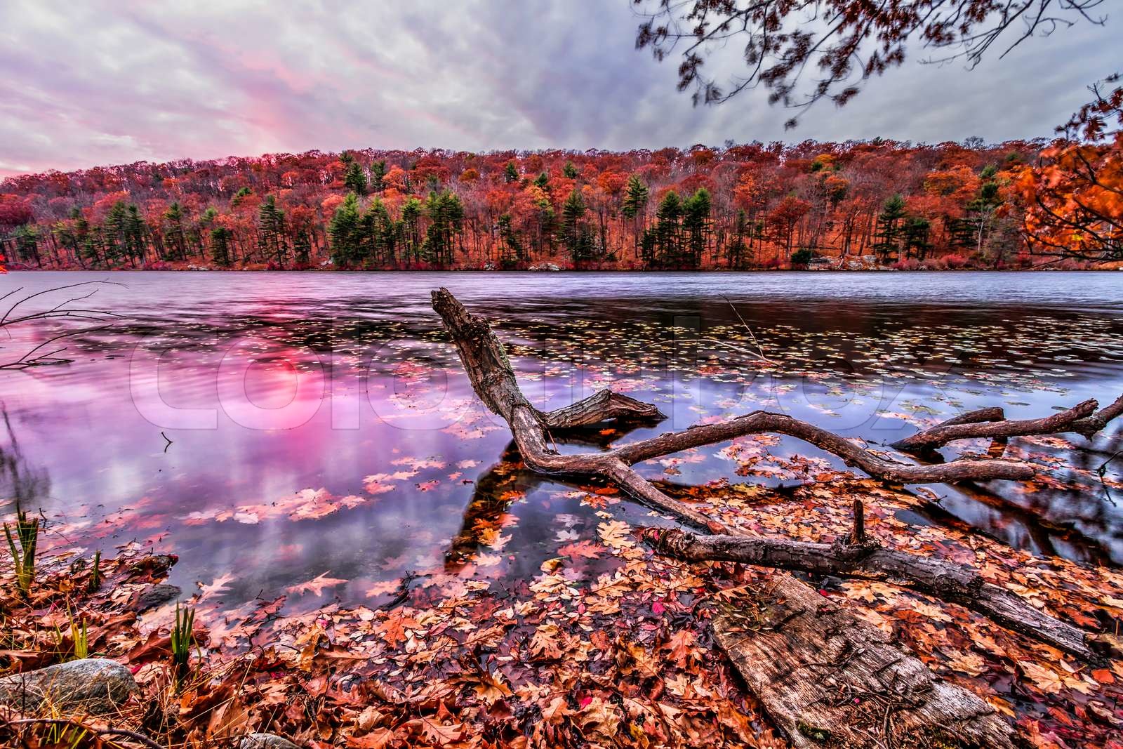 Colorful fall scenery landscapes. | Stock image | Colourbox