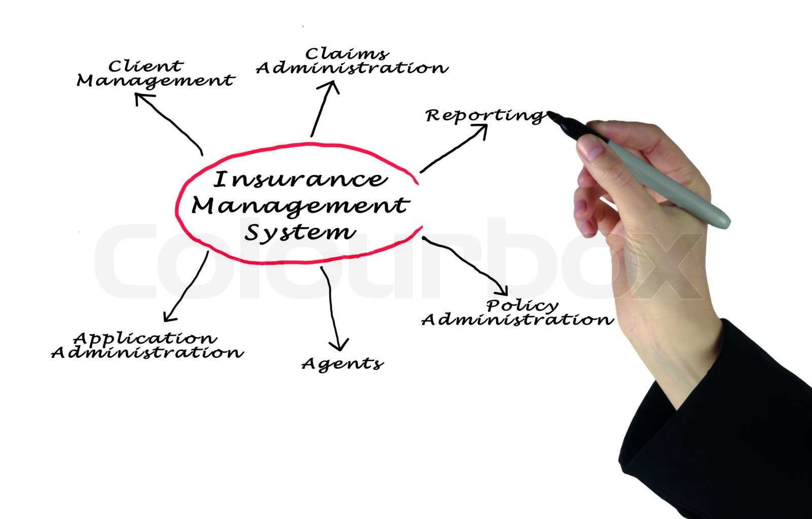 Insurance Management System | Stock image | Colourbox