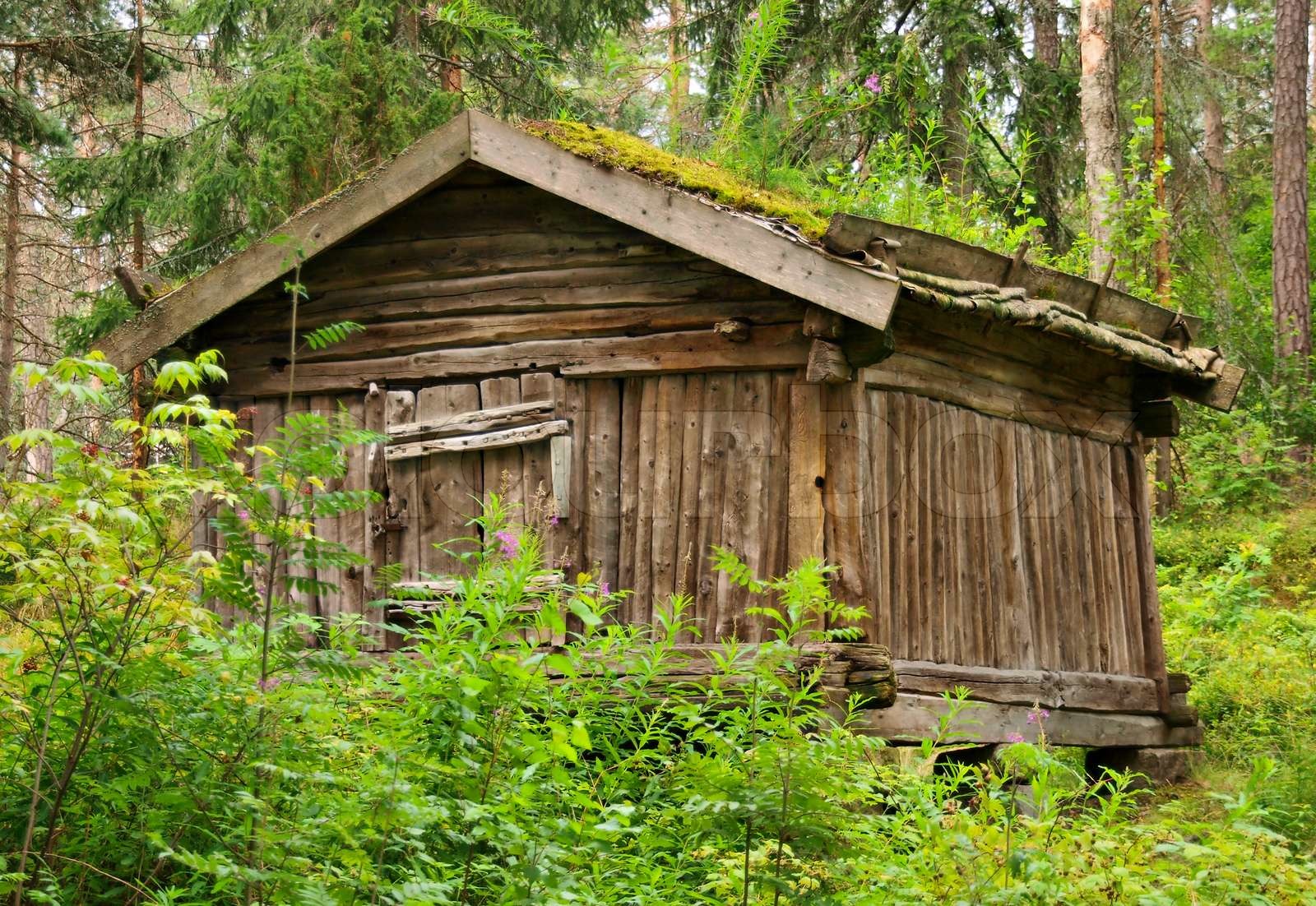 Old finnish barn | Stock image | Colourbox