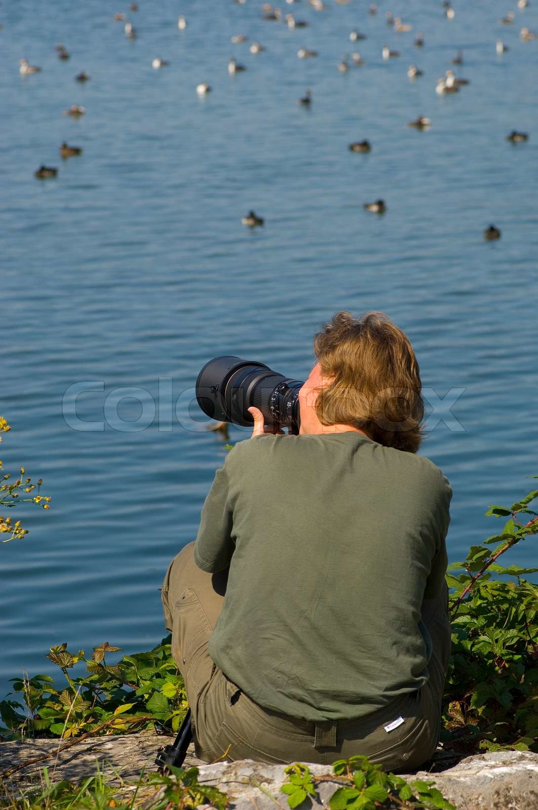 scenery, horizontal, autumn | Stock image | Colourbox