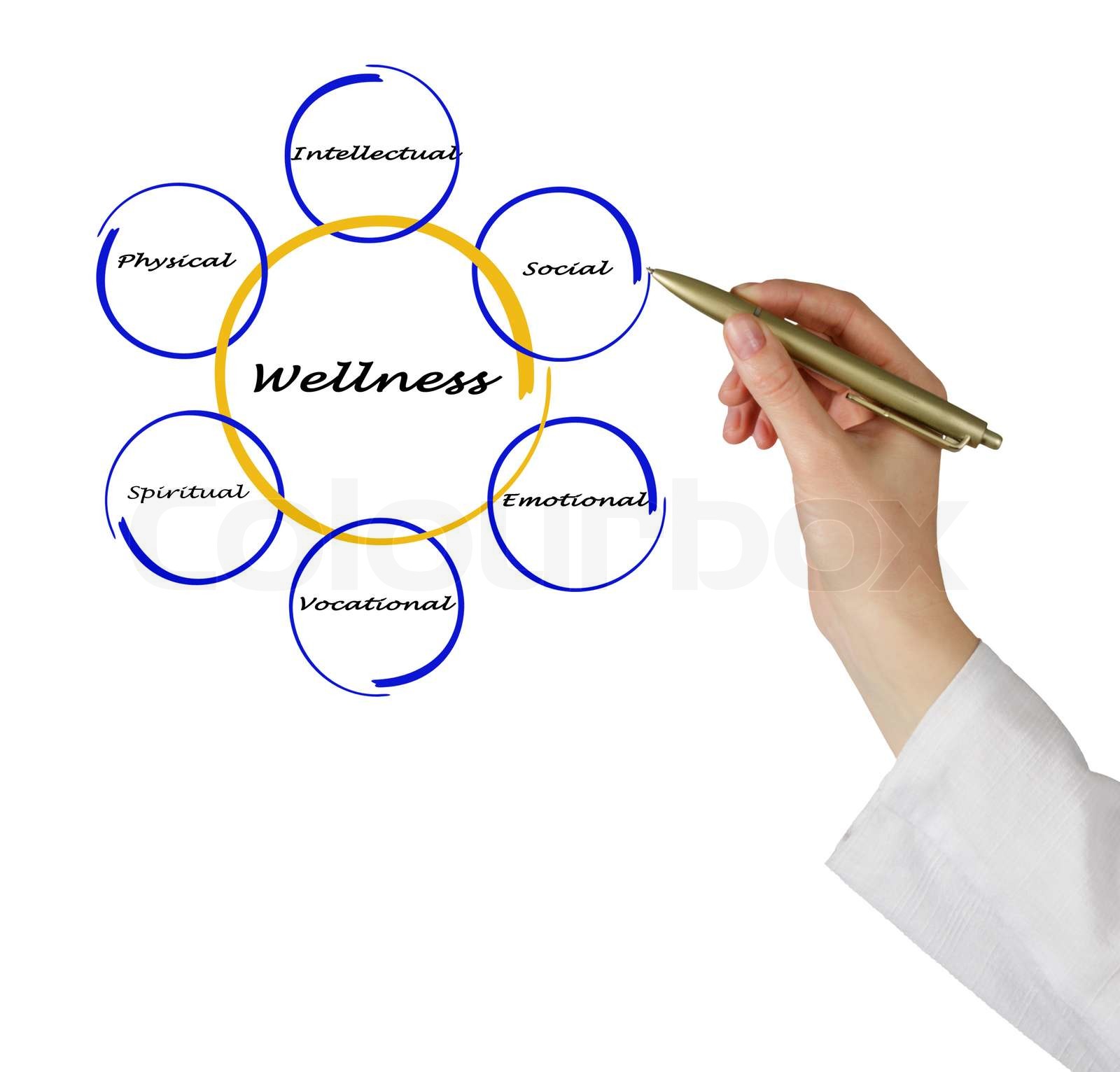 Diagram of wellness | Stock image | Colourbox