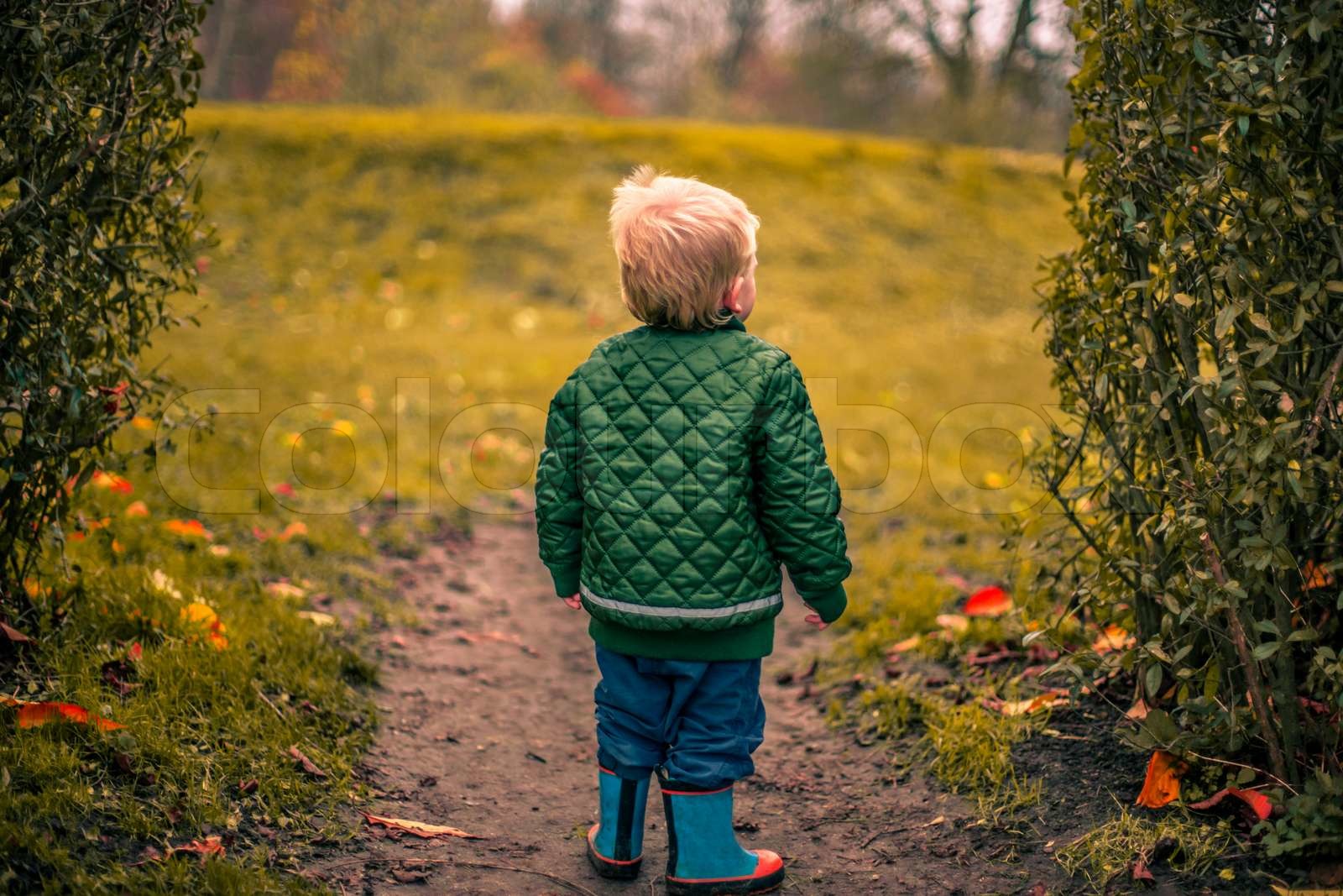 Boy in a garden | Stock image | Colourbox
