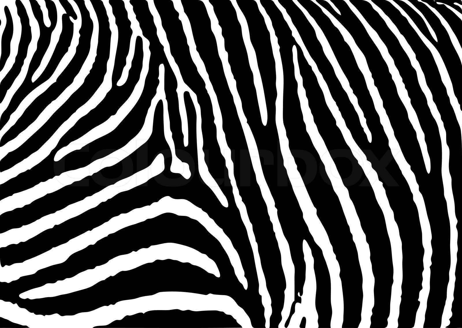 Black and white zebra pattern background with simple deisgn | Stock ...