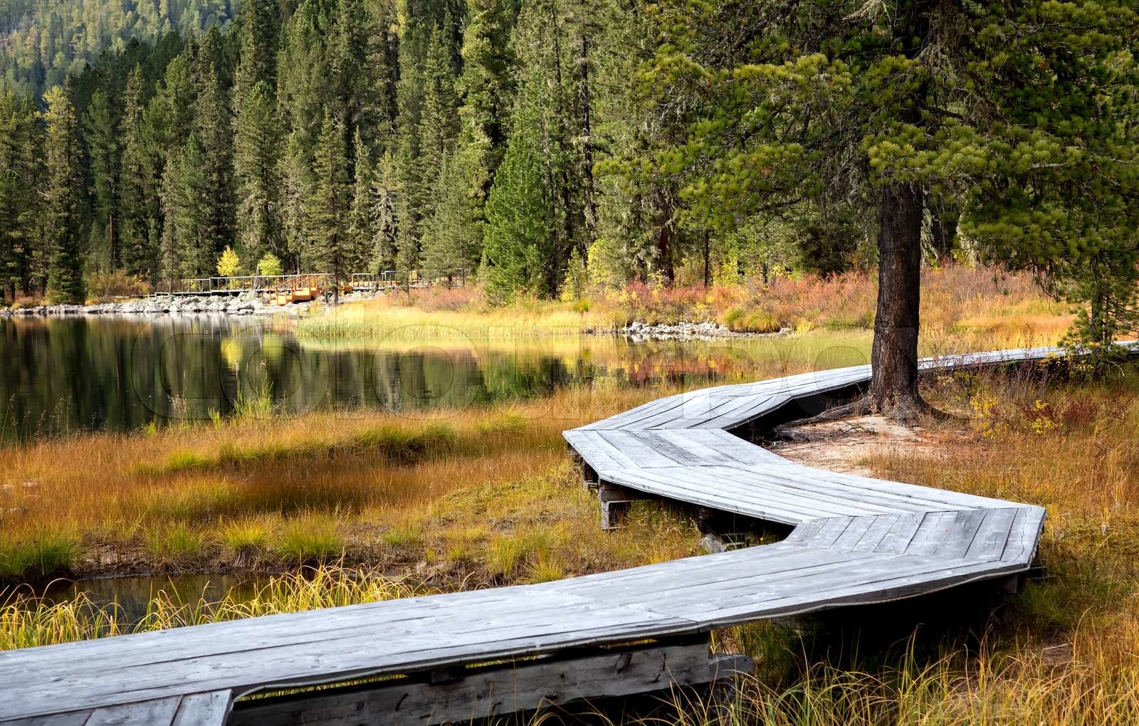 Wooden boardwalk along the lake in the mountains | Stock image | Colourbox