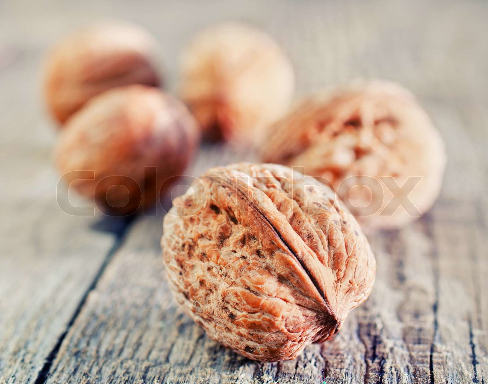 wallnuts | Stock image | Colourbox