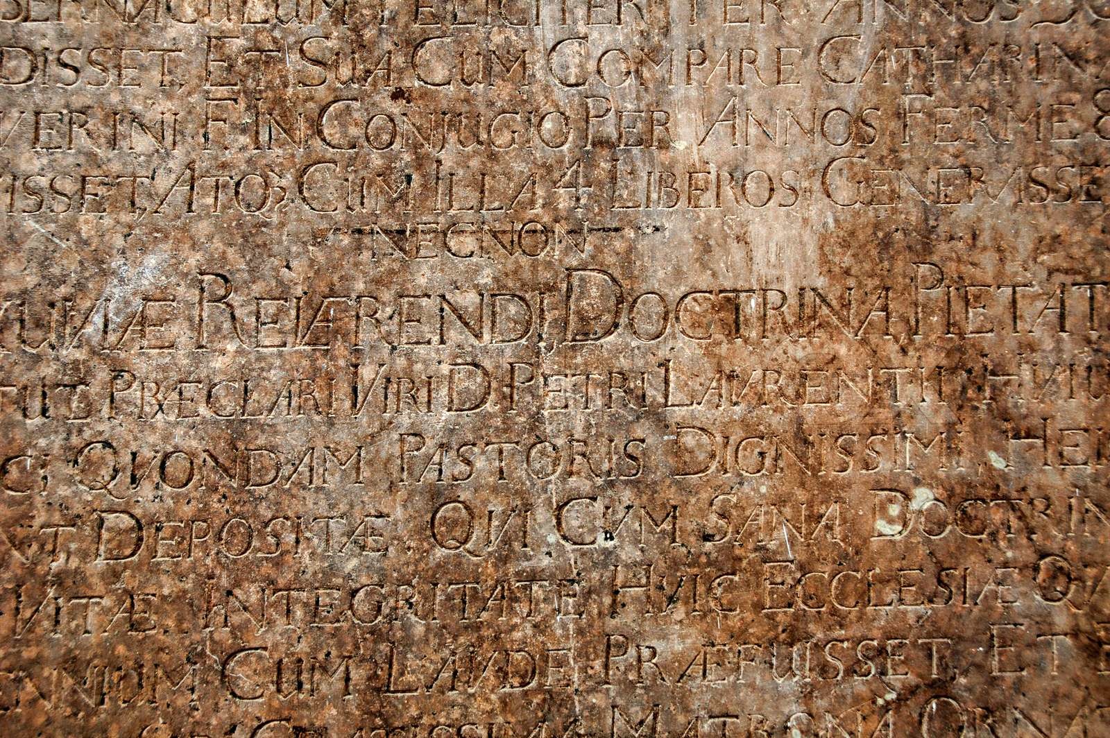 Background latin inscription | Stock image | Colourbox