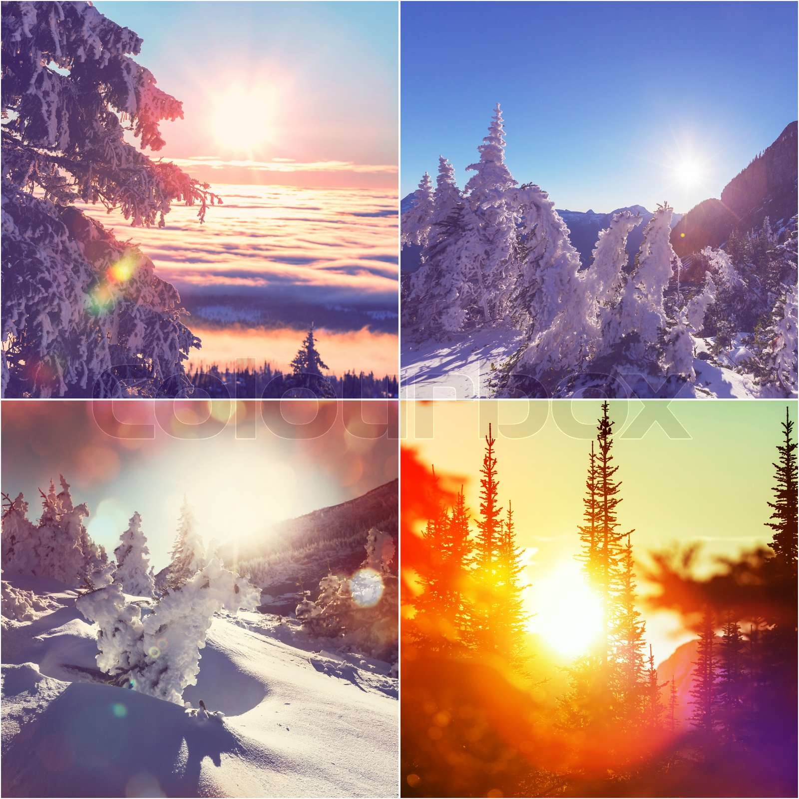 Winter collage | Stock image | Colourbox