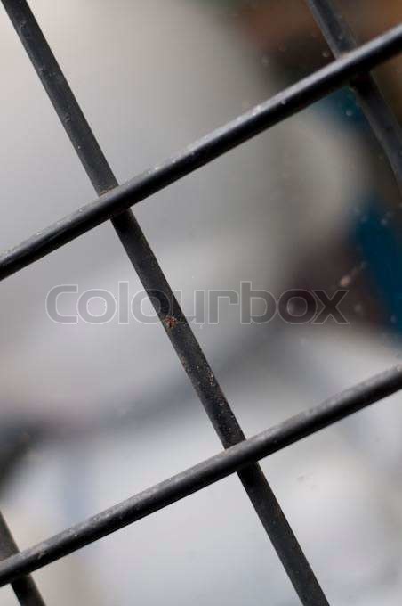 Gitter | Stock image | Colourbox