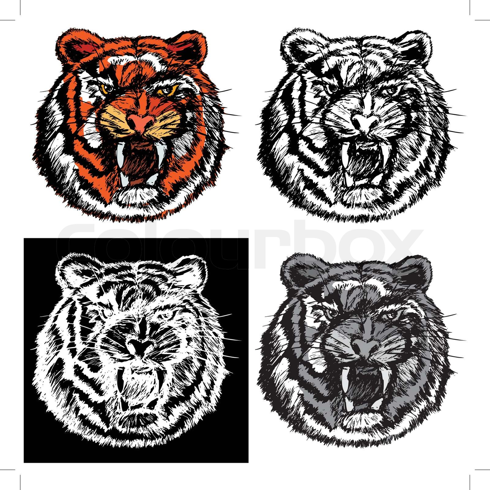 tiger | Stock vector | Colourbox