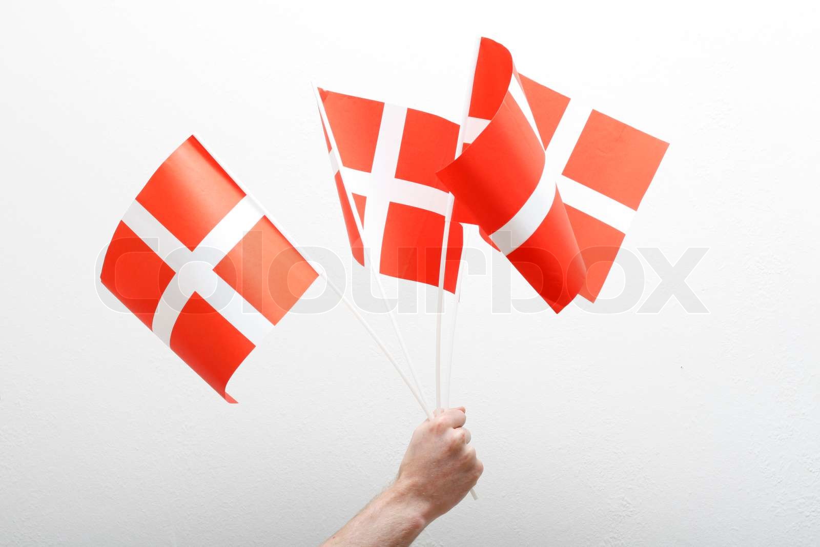 A hand holding some danish flags | Stock image | Colourbox