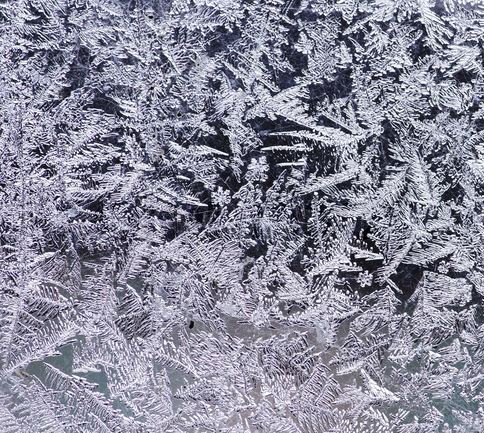 ice pattern | Stock image | Colourbox