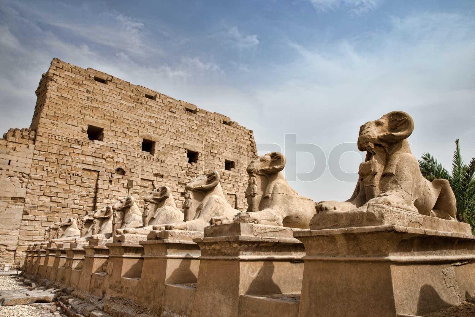Ramesseum temple, Egypt. | Stock image | Colourbox