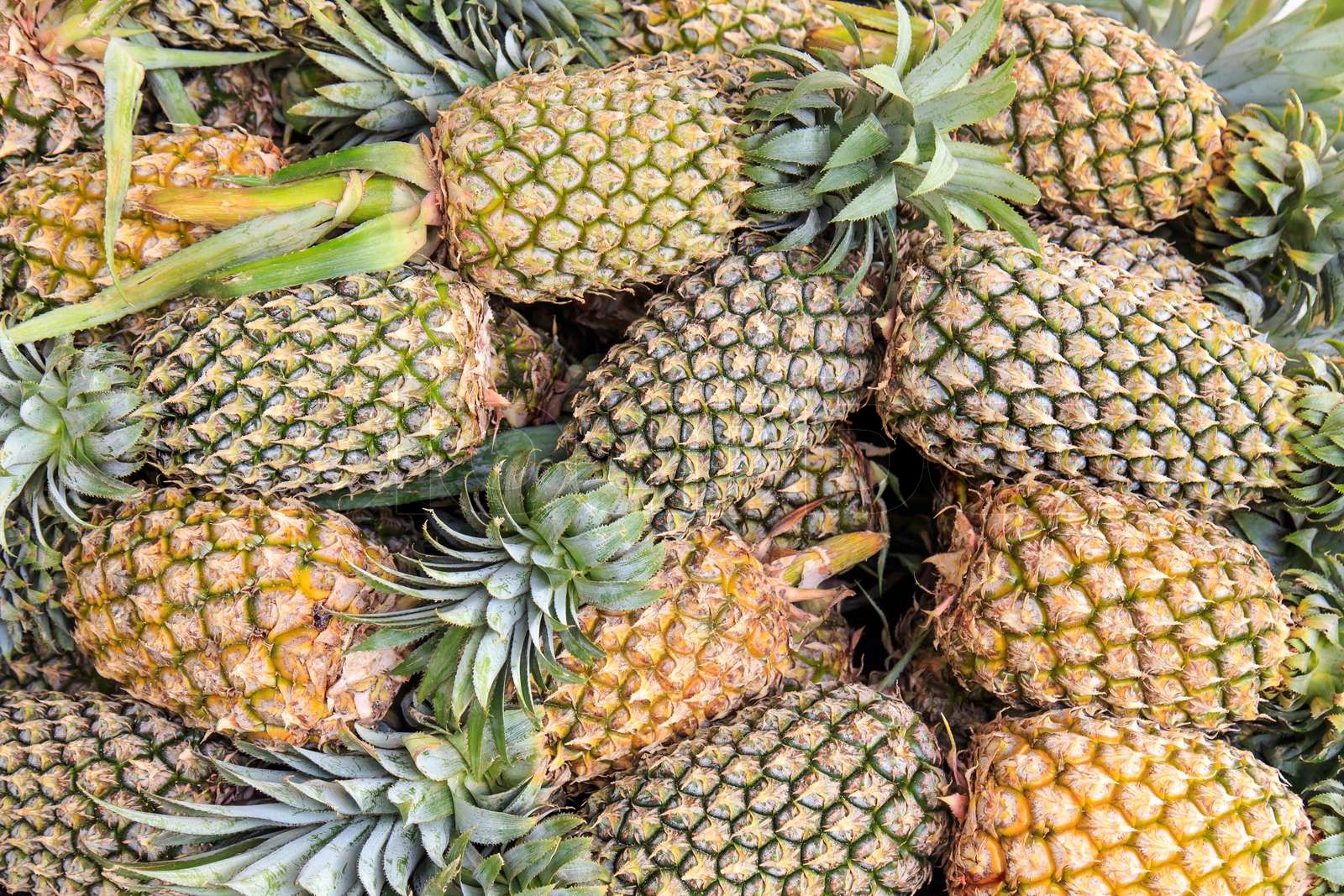 Stack of pineapple | Stock image | Colourbox