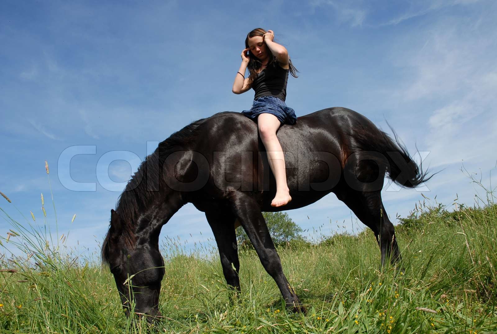 riding girl | Stock image | Colourbox