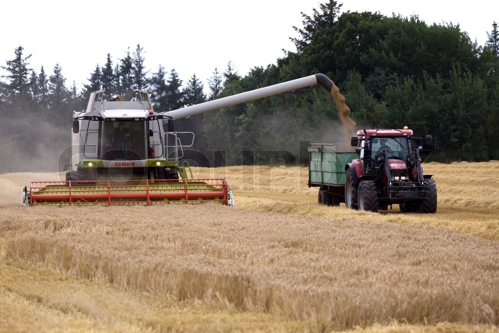 Ernte | Stock Bild | Colourbox