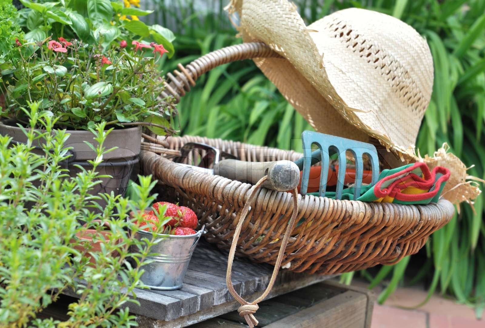 garden accessories | Stock image | Colourbox