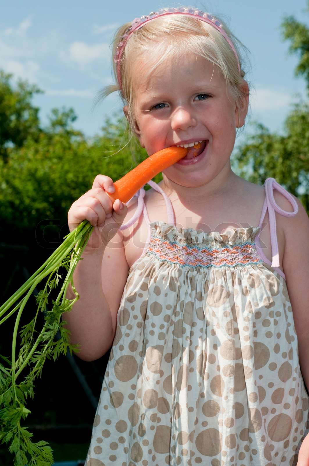 Pige spiser gulerod | Stock image | Colourbox