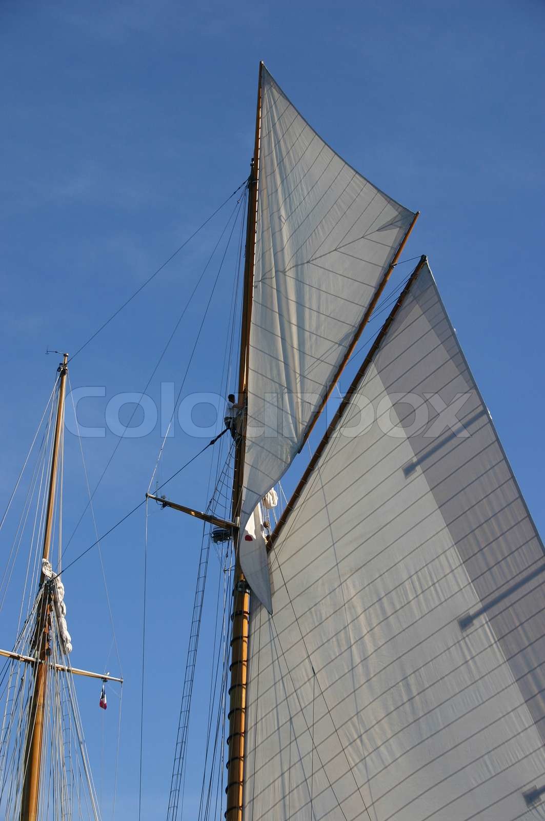 mainsail | Stock image | Colourbox