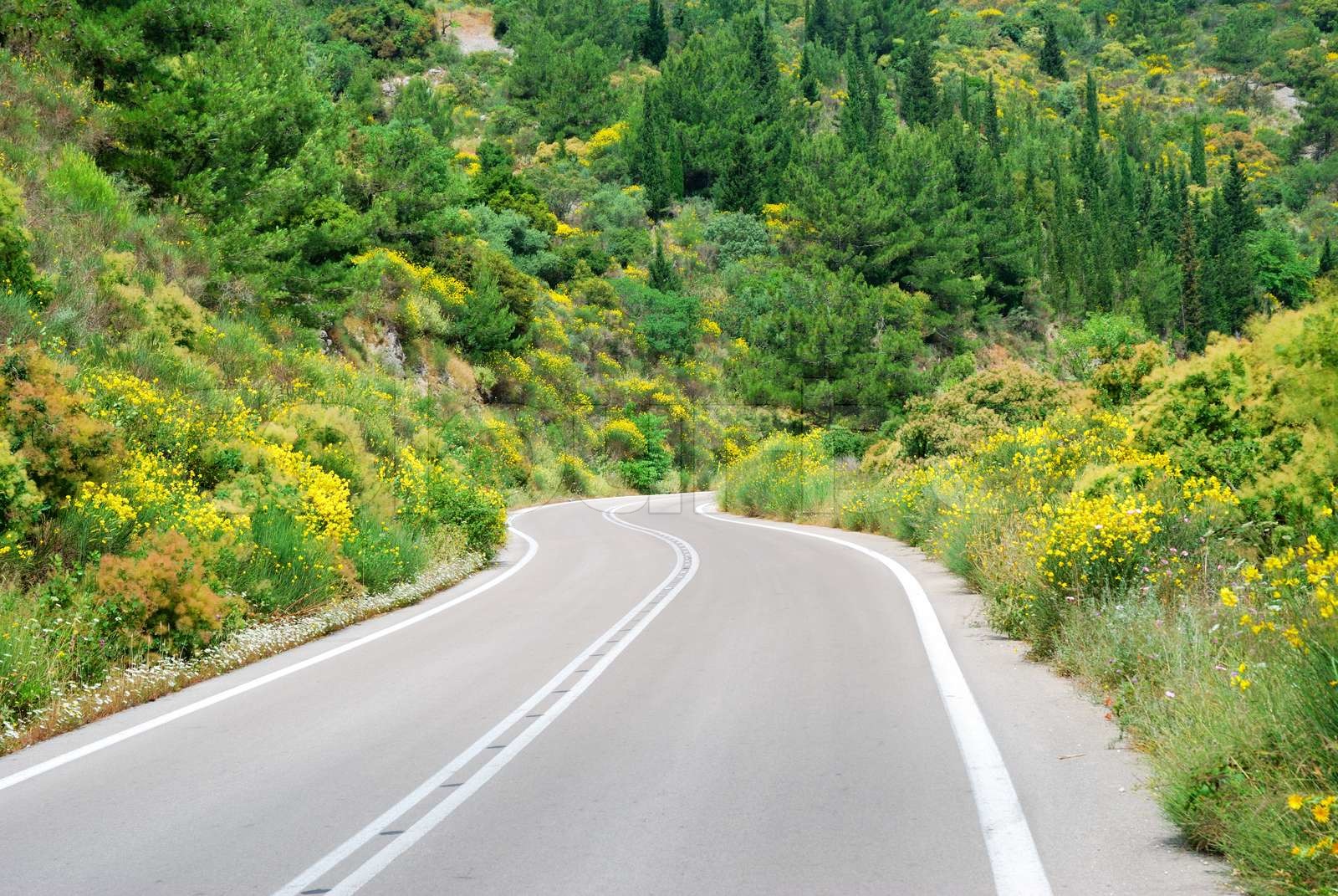 Tarmac road winding through green hills with flowers | Stock image ...