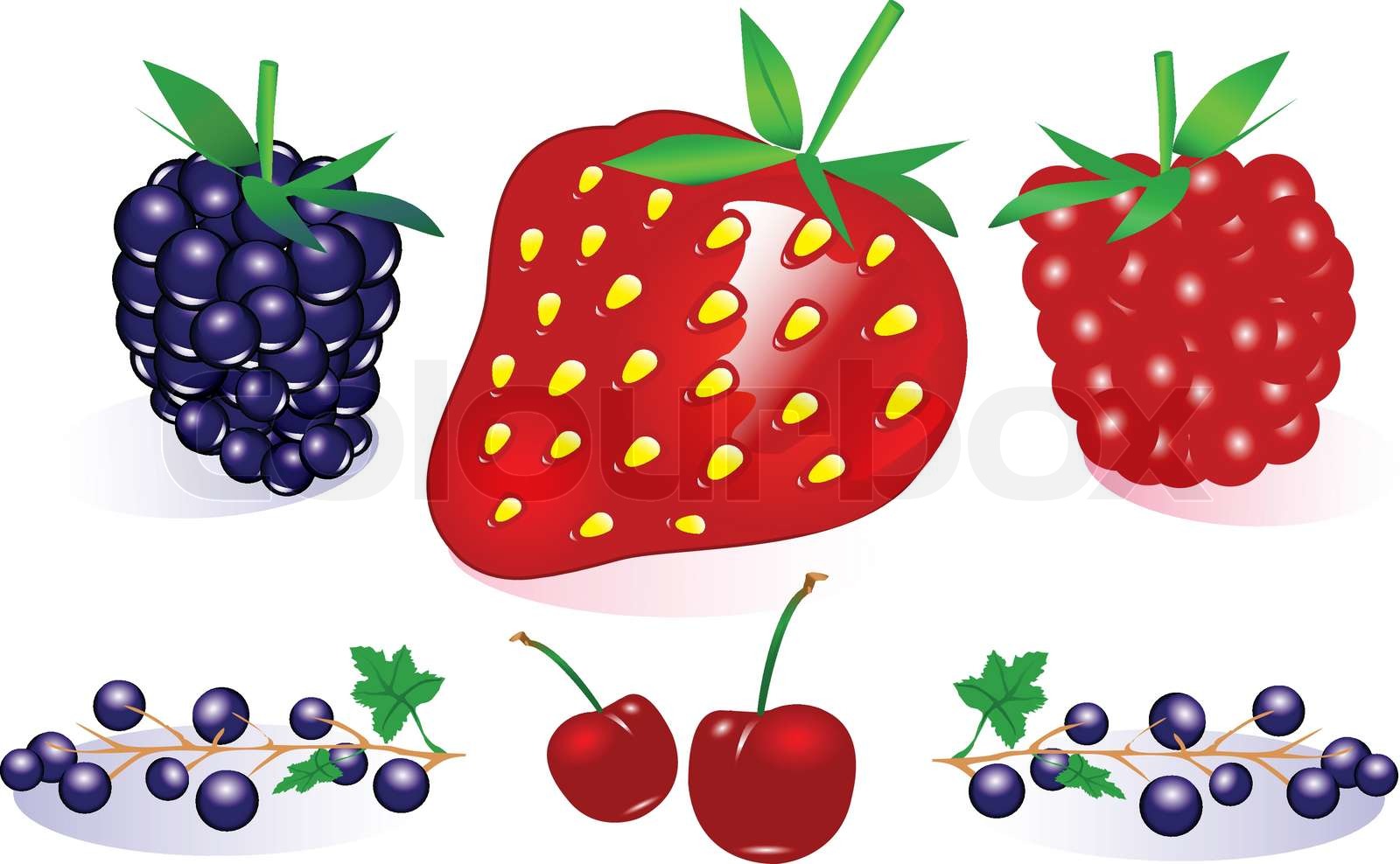 Vector Berry Collection (Fully resizable and editable) | Stock vector ...