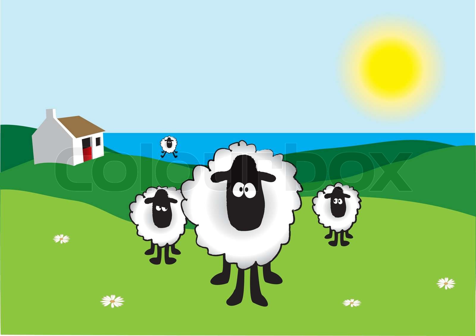Sheep with Old Irish Cottage in the background | Stock vector | Colourbox