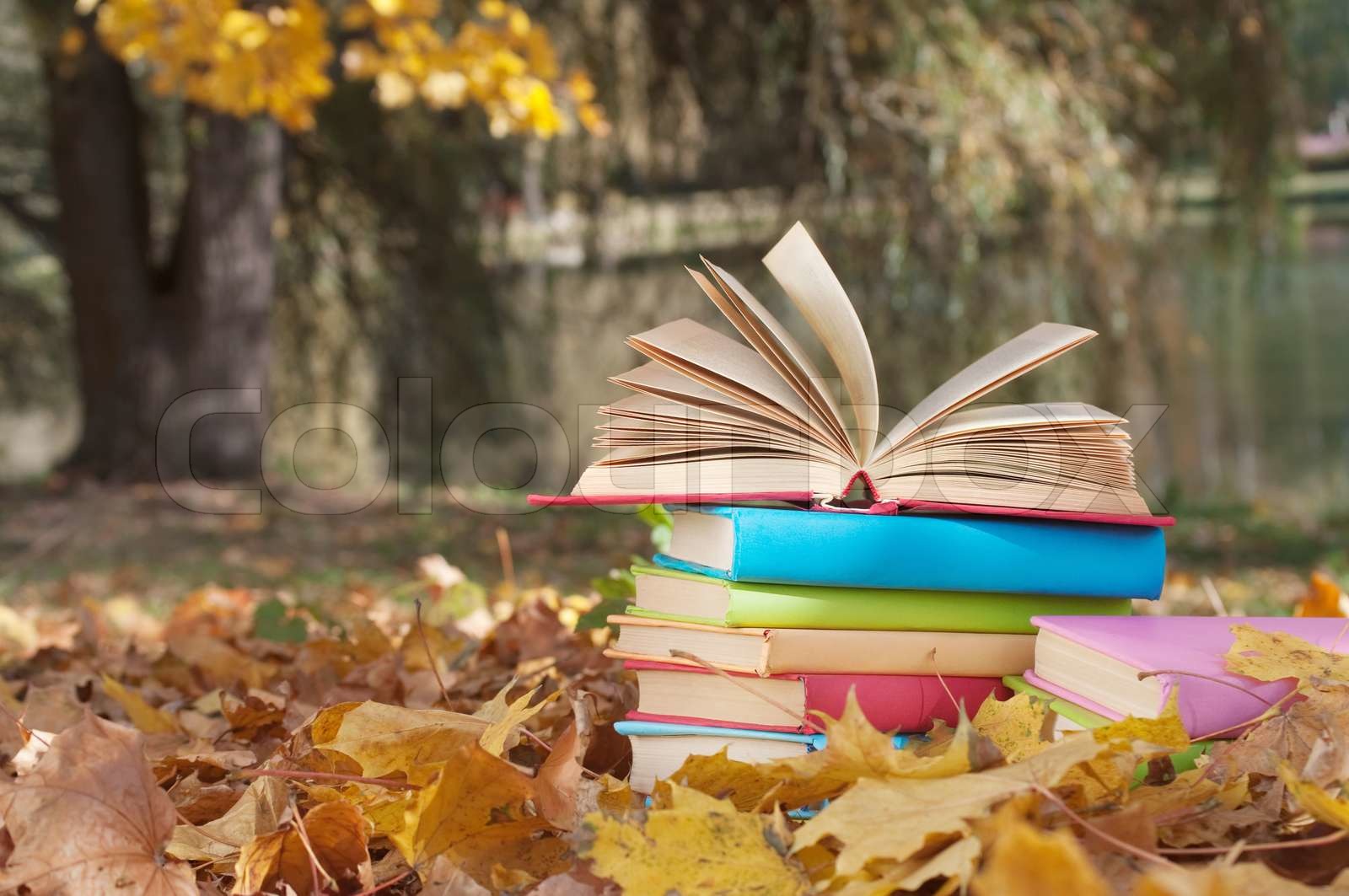 stack of books | Stock image | Colourbox