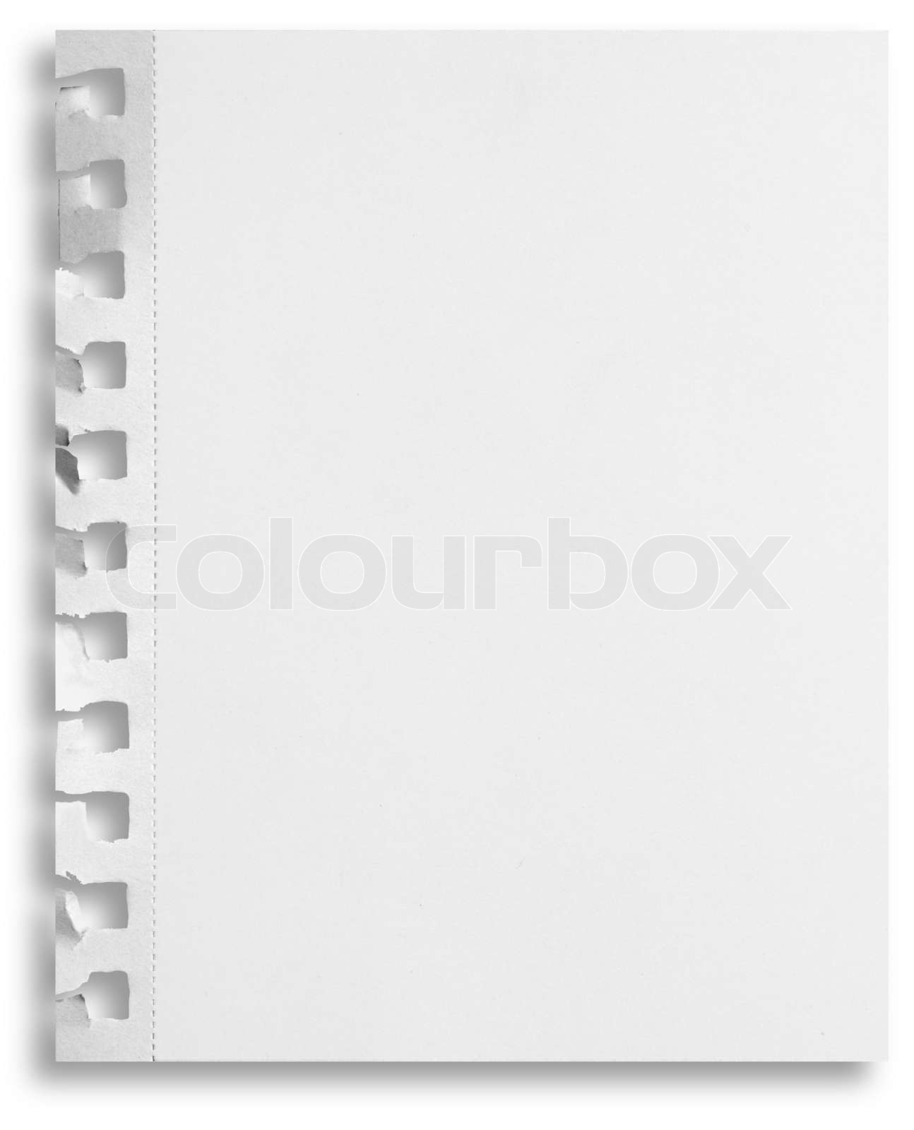 Torn Spiral Notebook Paper