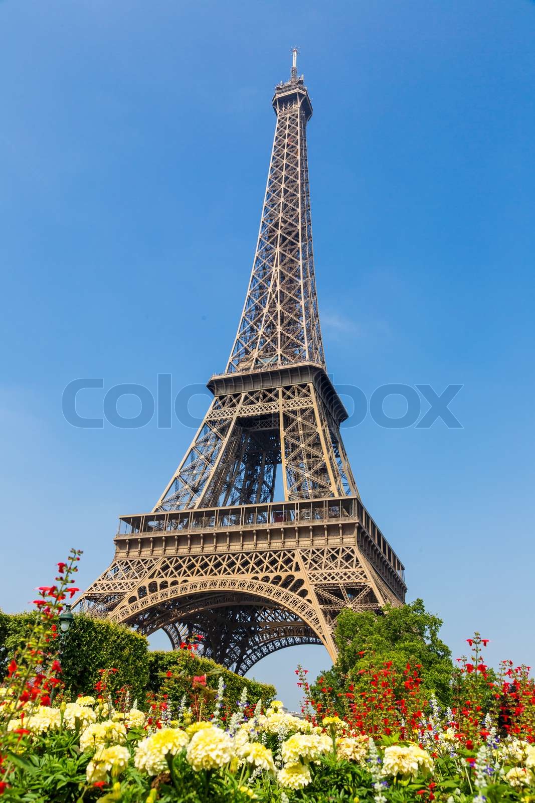 The Eiffel Tower in Paris | Stock image | Colourbox