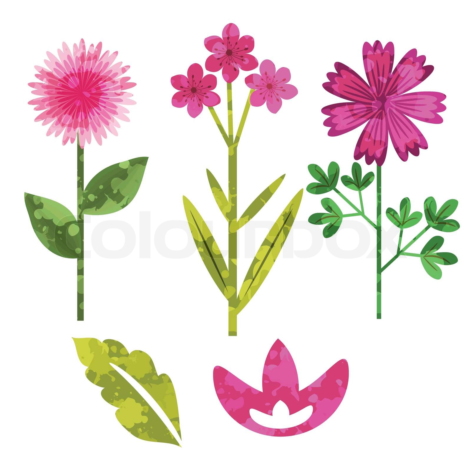 Flower set | Stock vector | Colourbox