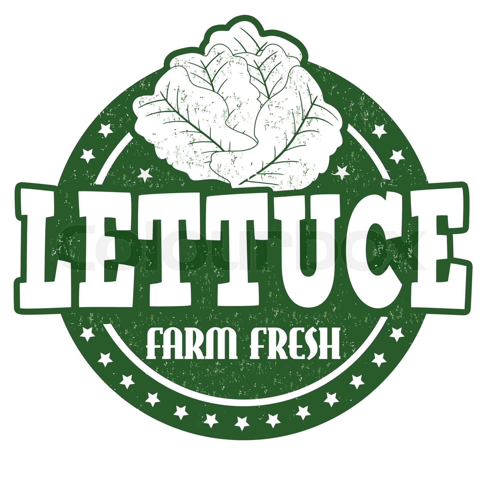 Lettuce stamp | Stock vector | Colourbox