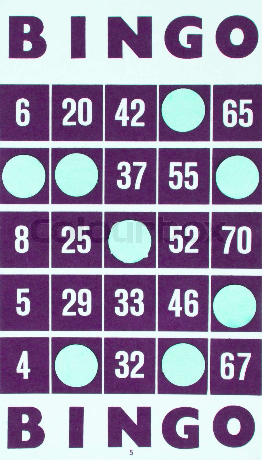Purple bingo card isolated | Stock image | Colourbox