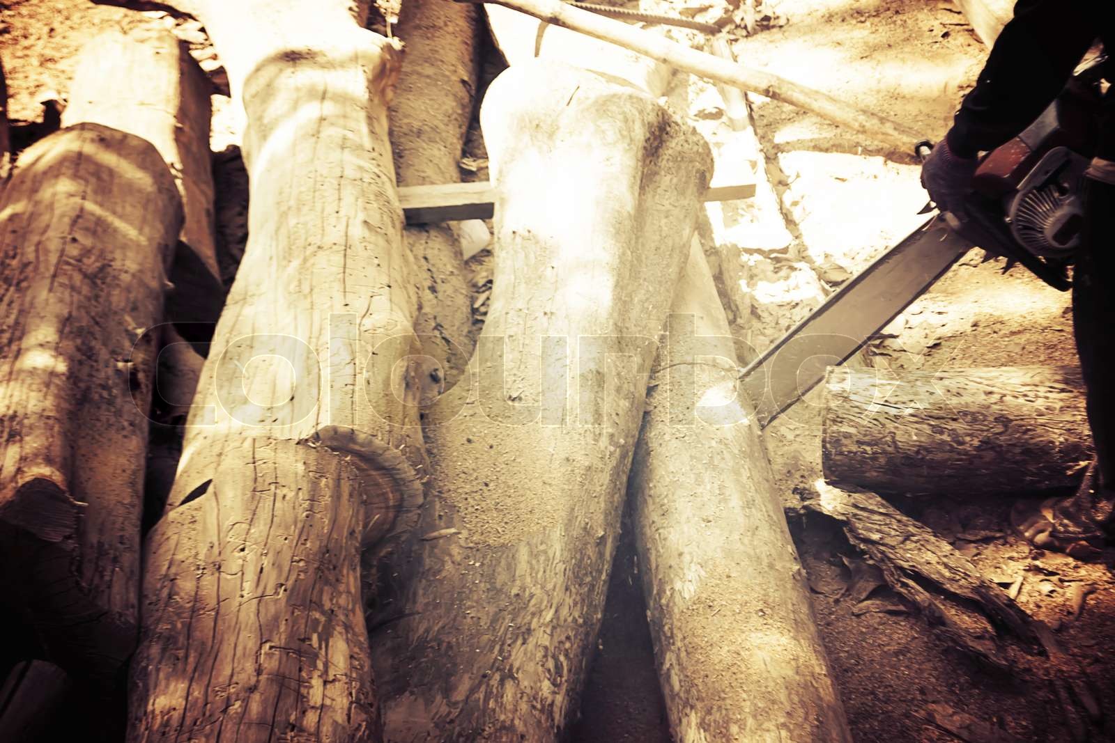 Saw blade for cutting timber | Stock image | Colourbox