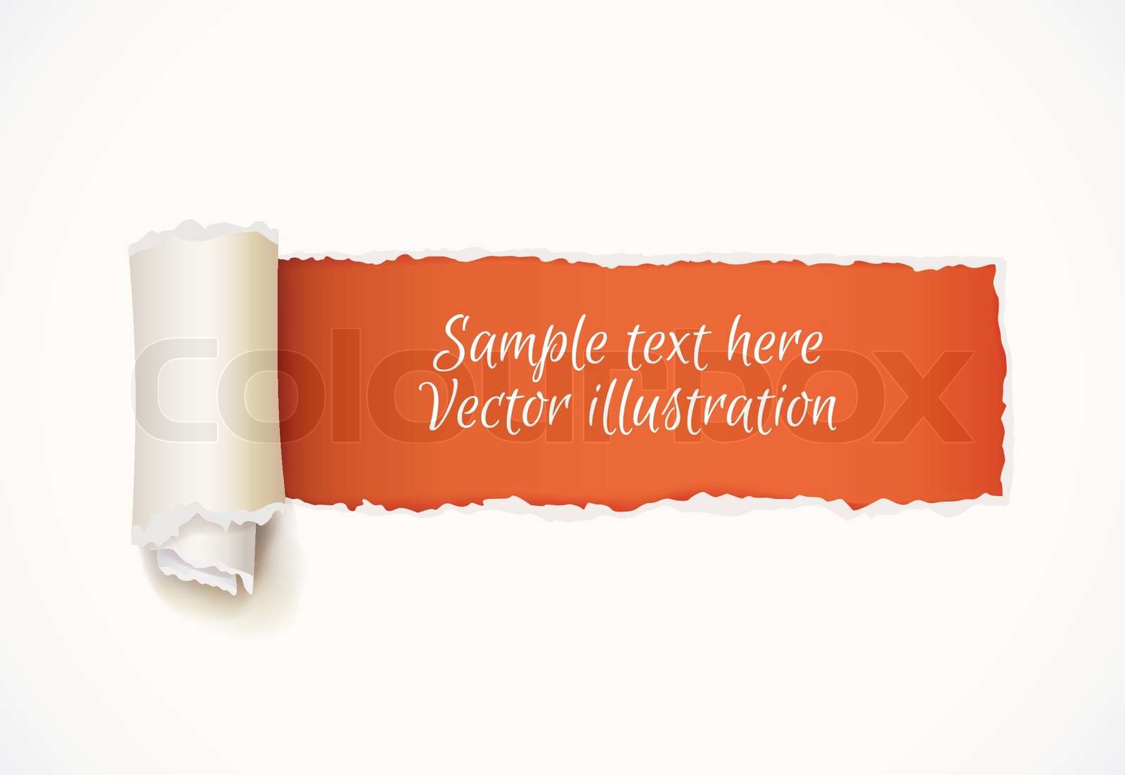 Torn Paper with space for text | Stock vector | Colourbox
