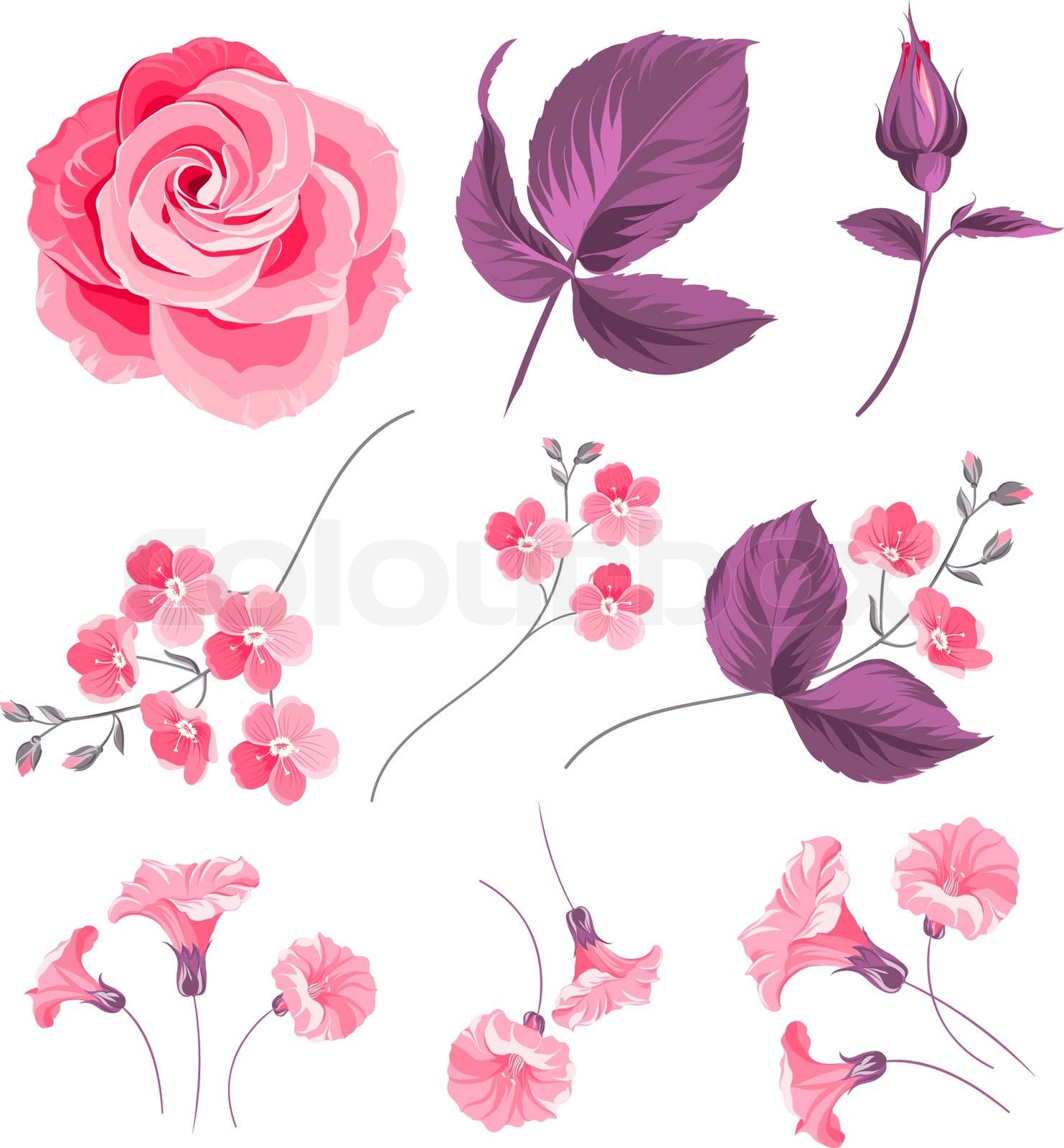Set of flowers. | Stock vector | Colourbox