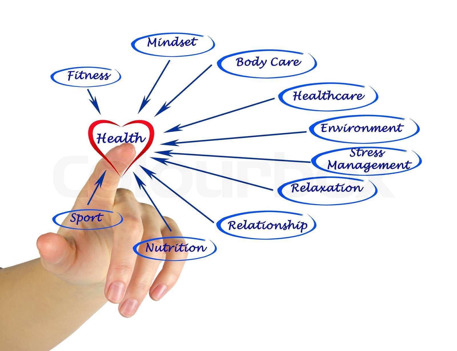 Diagram of health | Stock image | Colourbox