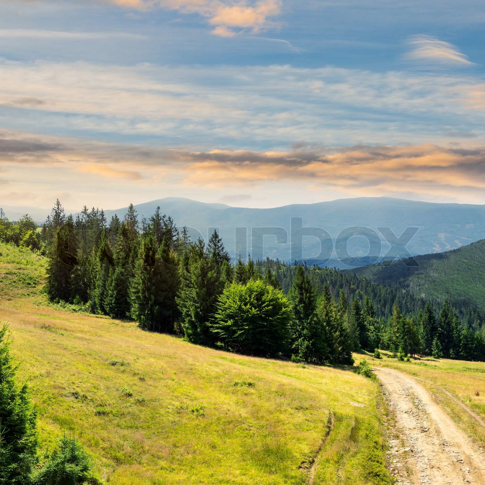 tree on hillside path through meadowon hillside | Stock image | Colourbox