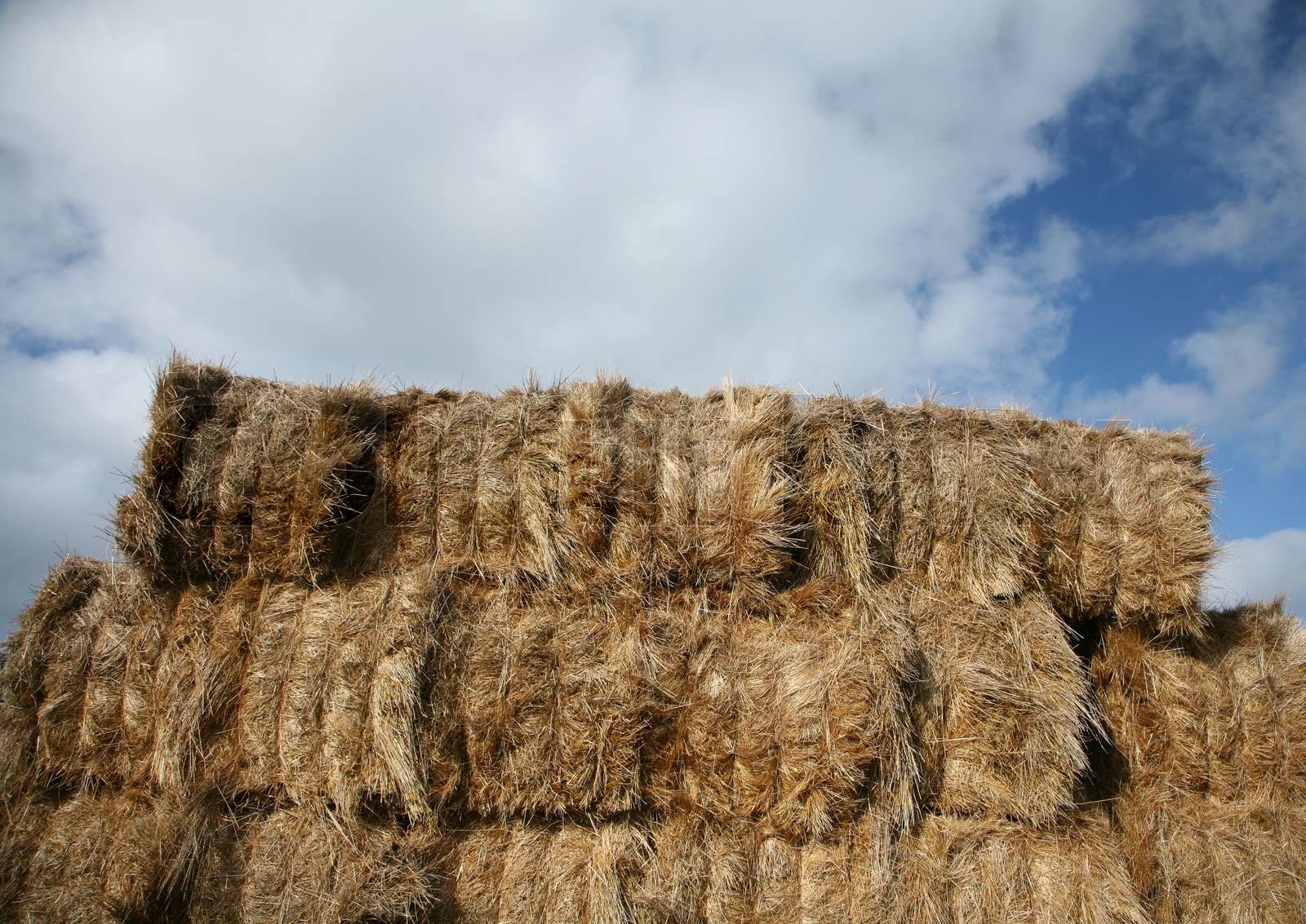stack of halm in denmark in the summer | Stock image | Colourbox