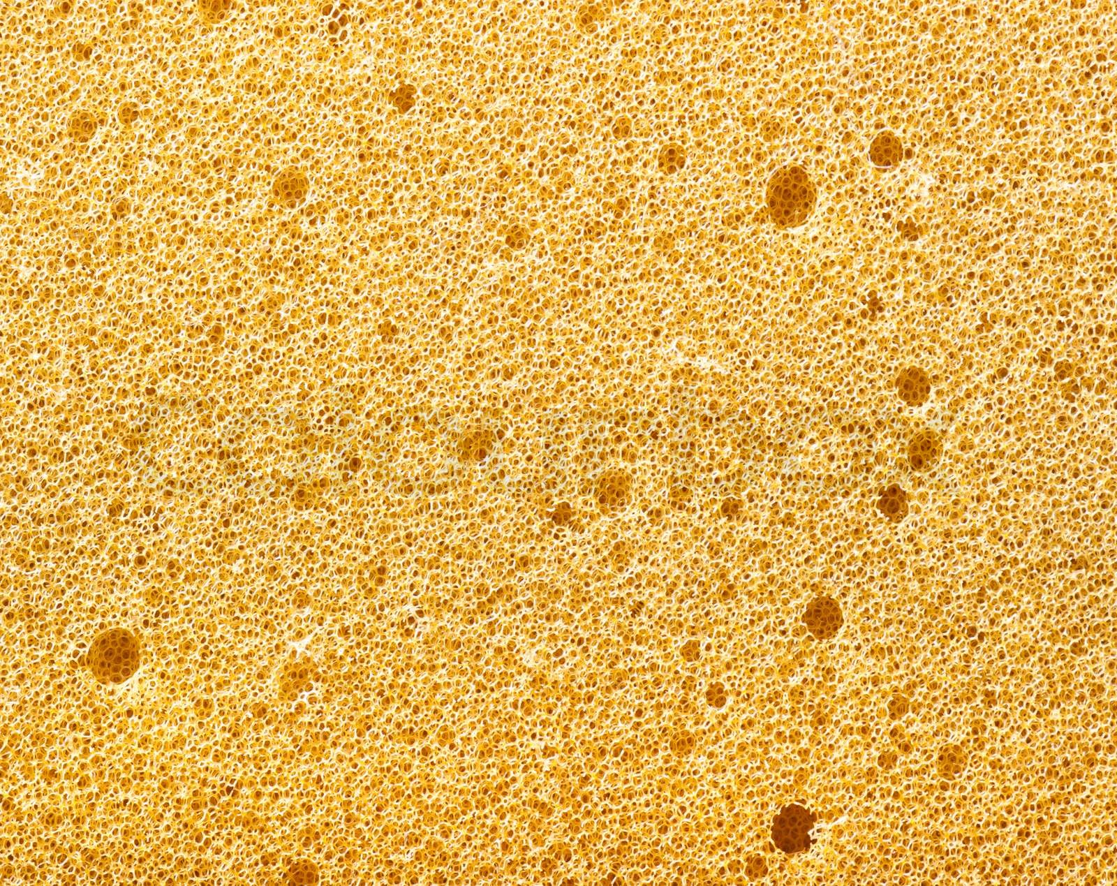 Yellow sponge texture | Stock image | Colourbox
